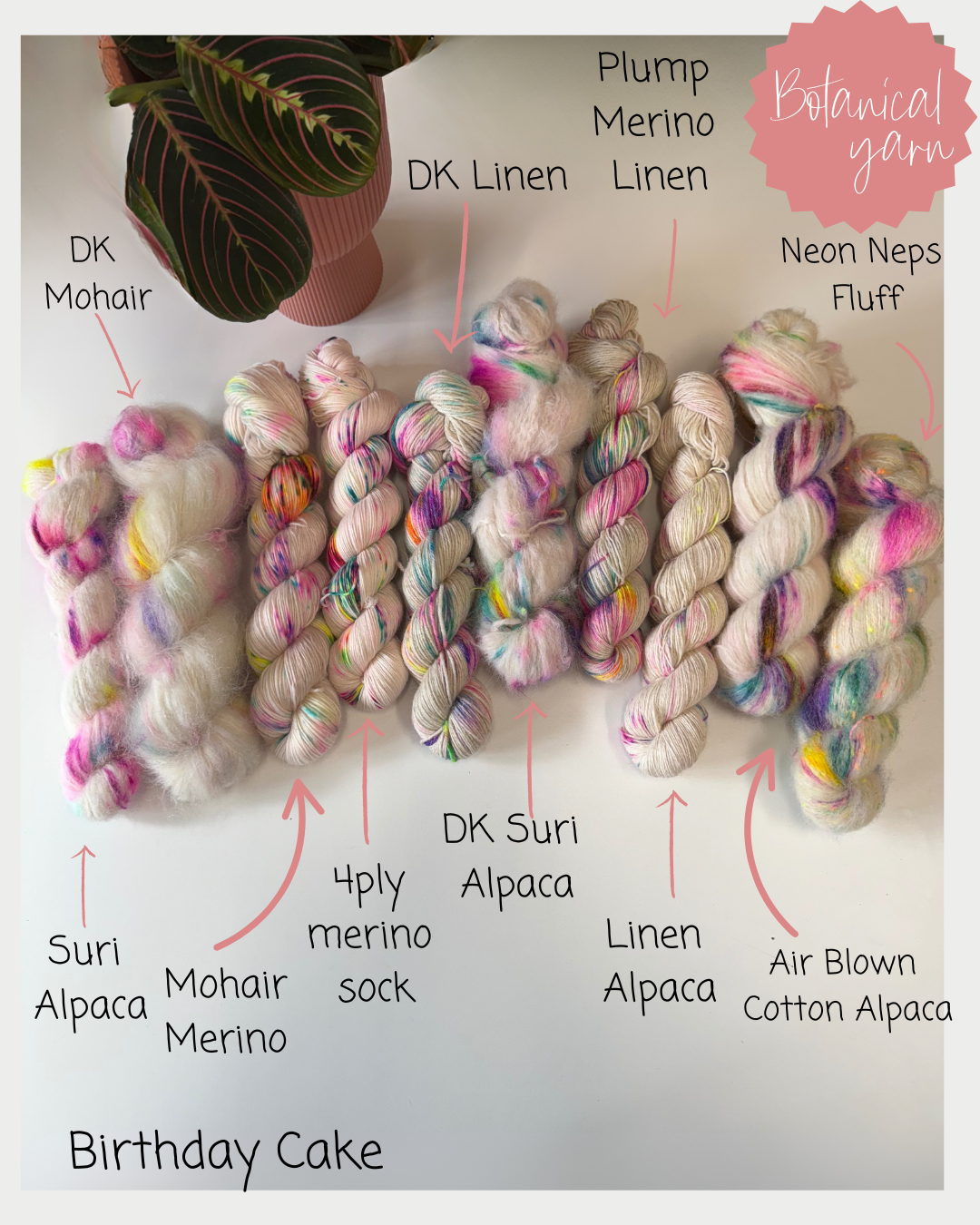 Dyed to order - Birthday Cake – botanical yarn