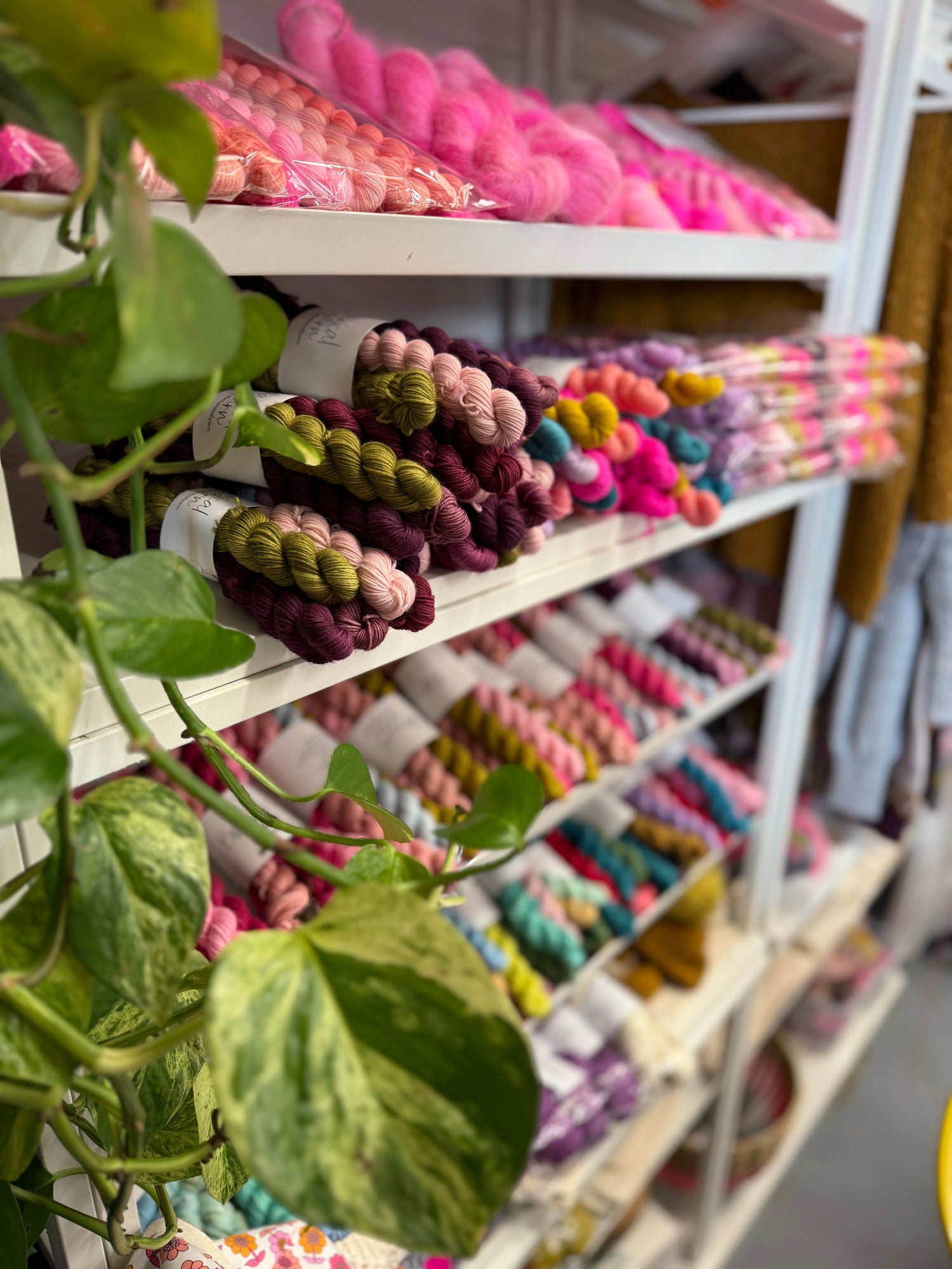 Botanical Yarn – botanical yarn